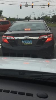 Massive Gallery of CT Vanity Plates