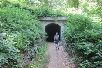 Gillette Castle State Park Train Trail