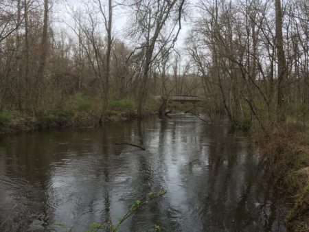 Scantic River State Park (East Windsor)