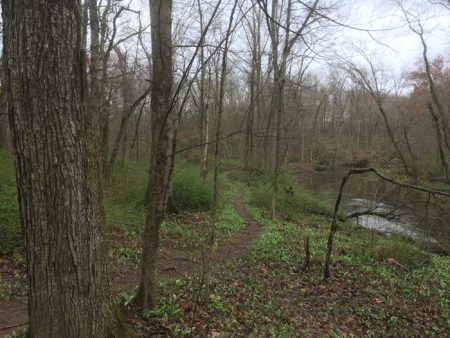 Scantic River State Park (East Windsor)