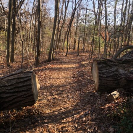 Barnes Nature Center & Pigeon Hill Preserve Trails