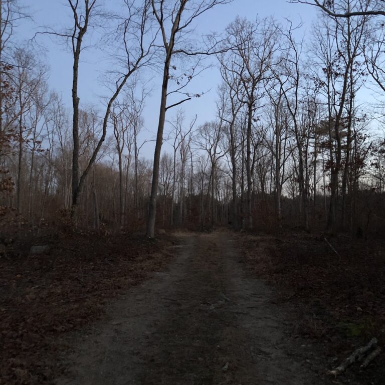 RWA: Lake Hammonasset