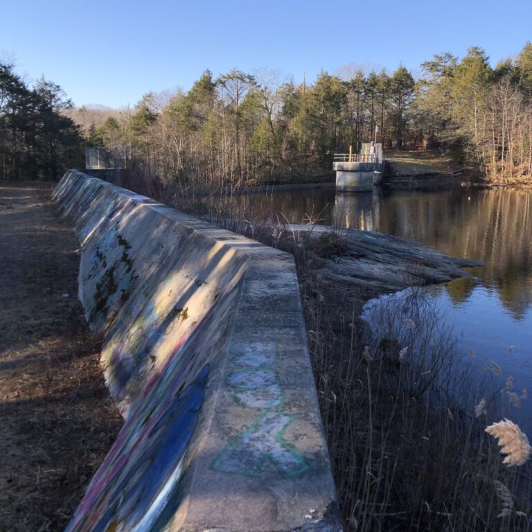 RWA: Lake Hammonasset