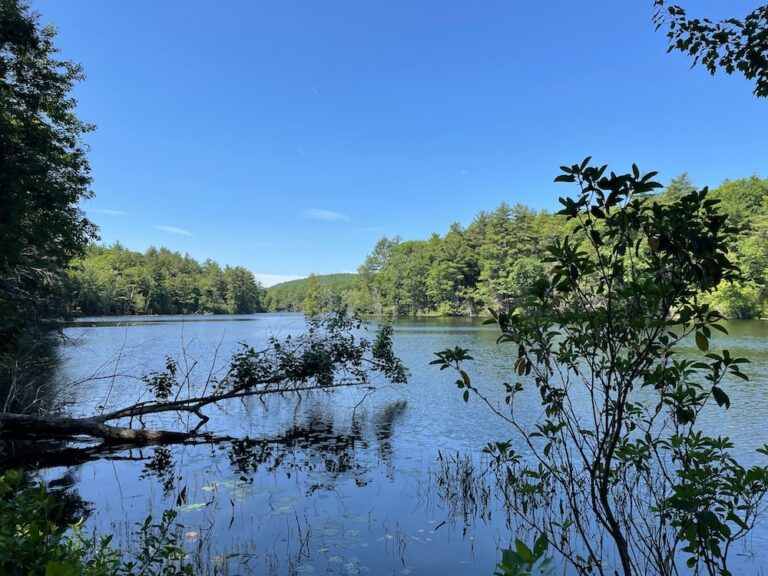 Nipmuck State Forest: Breakneck Pond Trails