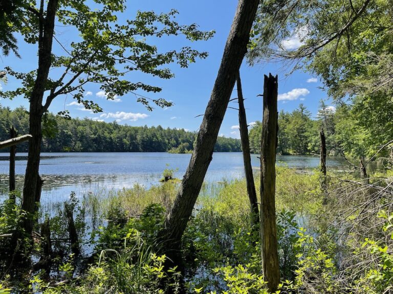 Nipmuck State Forest: Breakneck Pond Trails