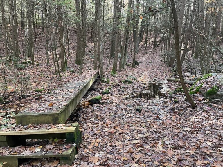 Nipmuck State Forest: Breakneck Pond Trails