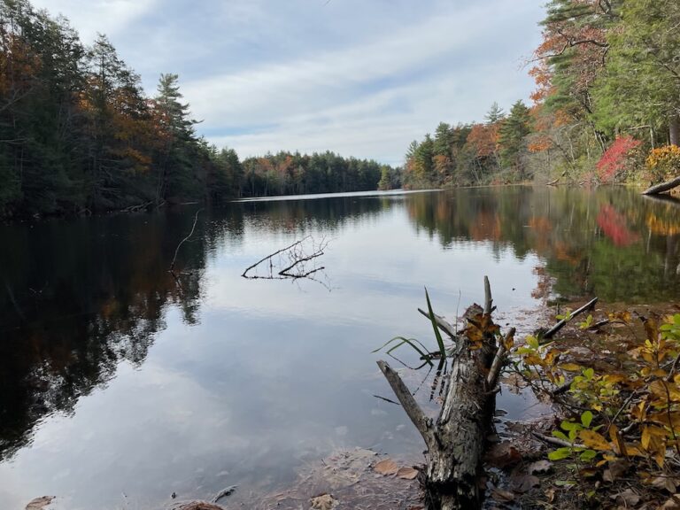 Nipmuck State Forest: Breakneck Pond Trails
