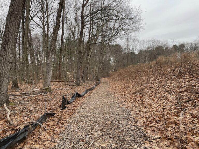 Evergreen Walk Trail