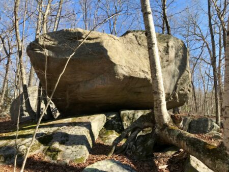 Nehantic State Forest Intro